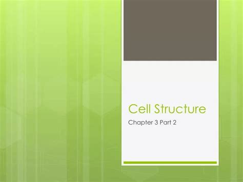 Ppt Cell Structure Powerpoint Presentation Free Download Id2462541