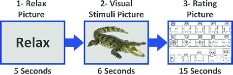 Sequence Of The Visual Stimuli Download Scientific Diagram