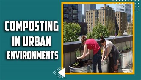 Composting In Urban Environments Step By Step Making Process Top Chooser