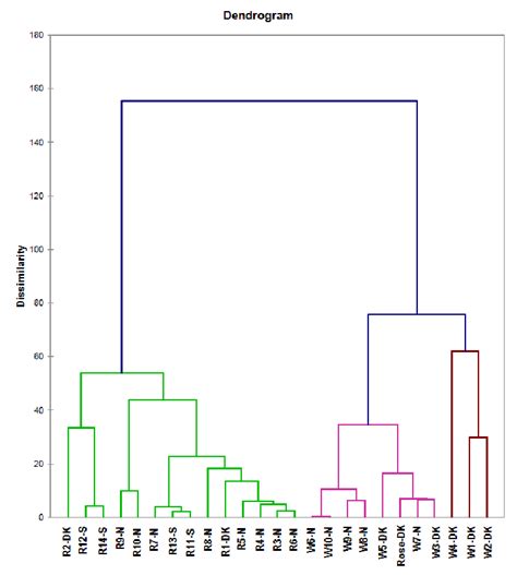 Dendrogram Obtained After The Agglomerative Cluster Analysis Performed