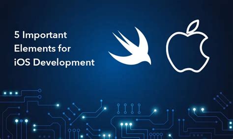 Important Ios Elements For A Developer Encoresky