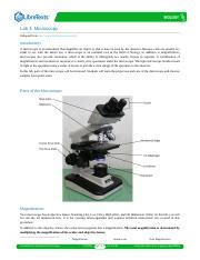 Microscopy And Cells Pdf Lab Microscopy Adapted From Biologycorner
