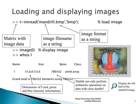 Image Processing Using Matlab Ppt