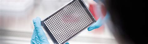 Life Sciences Construction Benchmarks And Trends 2024 Cbre Uk