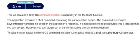 os command injection vulnerabilities các lỗ hổng command injection