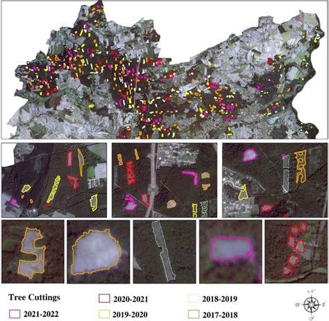 How Ps Imagery Improves Tree Cutting Detection Janelle Ting Posted On The Topic Linkedin