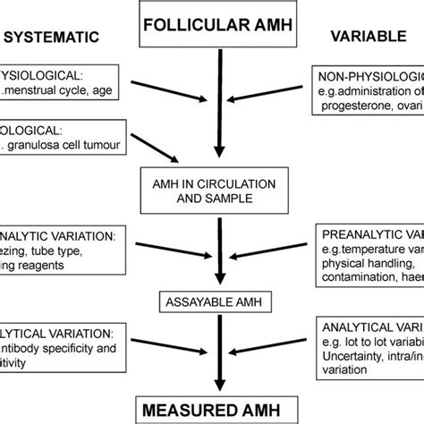 Biological And Analytical Variability Of Amh Download Scientific Diagram
