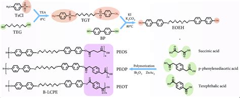 Schematic Diagram Of Synthetic Route For B Lcpe Download Scientific