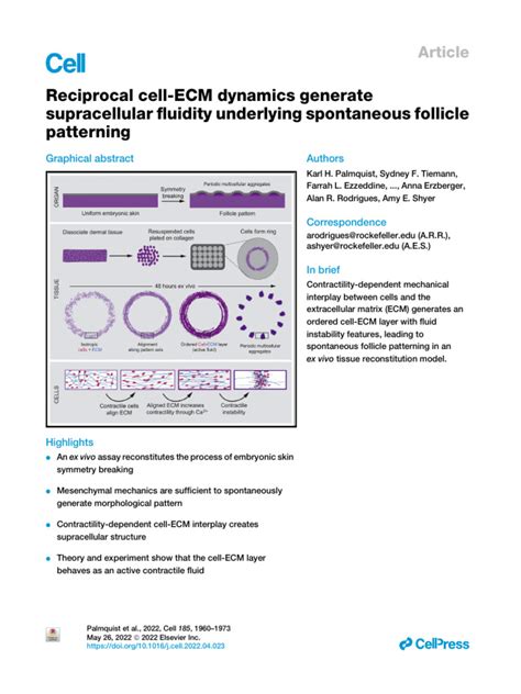 Reciprocal Cell Ecm Dynamics Generate Supracellular Fluidity Underly 2022 Ce Pdf