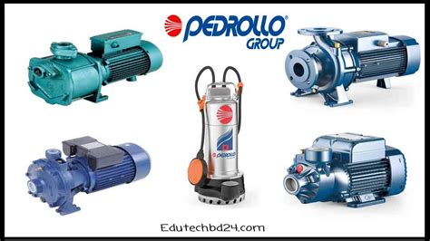 পেডরোলো ওয়াটার পাম্প দাম ২০২৩ [বর্তমান দাম] Edutechbd24