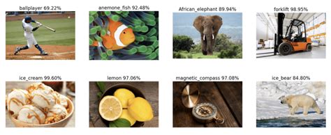 Alain Airom On Linkedin Image Classification Using Pre Trained Imagenet Models In Tensorflow