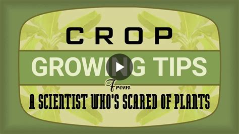 My Favorite Space At Psb Maintained By Sarah Dinger 🪴 Aaron Mathew