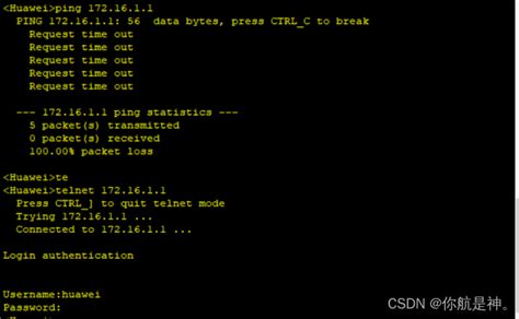 vlan实验 lsw1 csdn博客