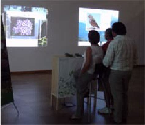 Visitors Interacting With The Virtual Observatory Download