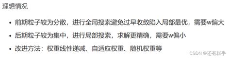 数学建模【对粒子群算法中惯性权重和学习因子的改进】 粒子群算法惯性因子 csdn博客