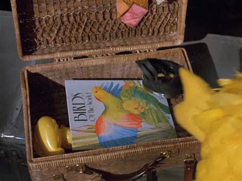 Follow That Bird 1985