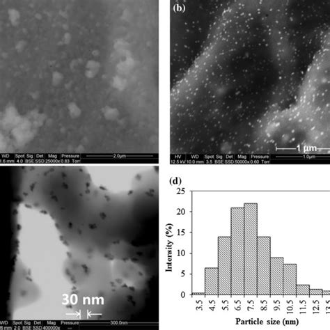 Sem Edx Micrographs Of Raw And Pd Ii Loaded Foams Download