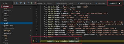 Urgent Help How To Debug Backend Server Codes Directly Grafana