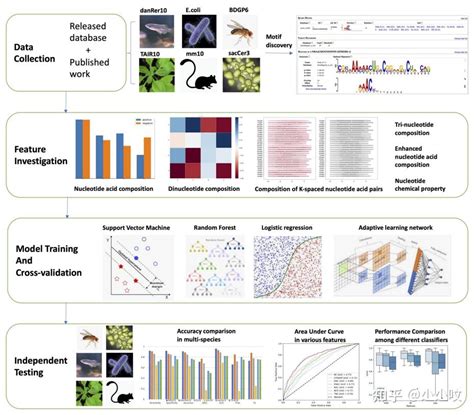 数据分析工具推荐 Adaptive M6a：从rna序列中鉴定物种特异性m6a修饰位点 知乎