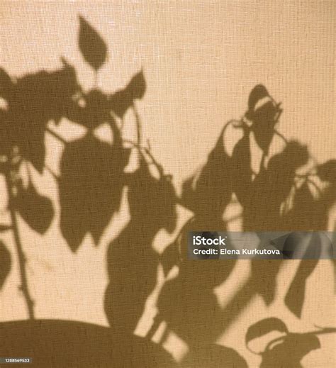 오래된 복고풍 베이지 색 직물 질감에 빛과 그림자 일몰 할머니의 집 빈티지 직물 배경 꽃 무늬와 교차 라인 그림자추상적 배경 0명에 대한 스톡 사진 및 기타 이미지 Istock