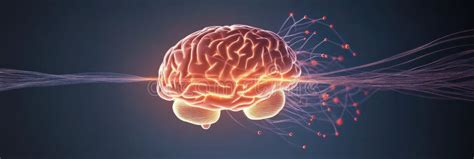 Scientific Illustration Brain Glowing Neuron Pathways Electrical Activity Nervous System Stock ...