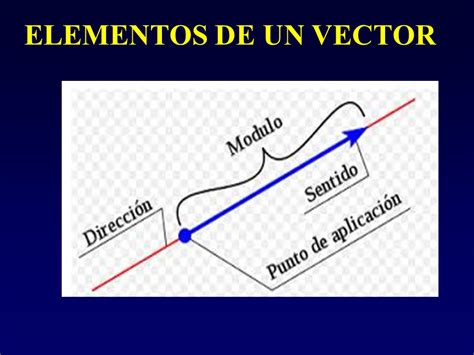 Elementos De Un Vector At Collection Of Elementos De