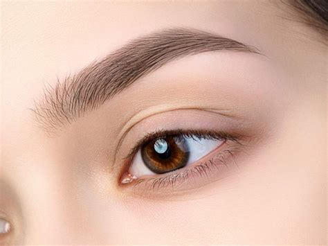 What Is Brow Lamination Uspaah