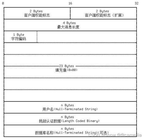 Mysql 协议（非常详细适合小白学习）mysql协议 Csdn博客