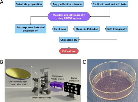 Figure 1 From Rapid Prototyping Of Organ On A Chip Devices Using Maskless Photolithography
