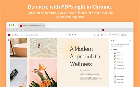 Adobe Reader Extension For Chrome Online 2024 WPS PDF Blog