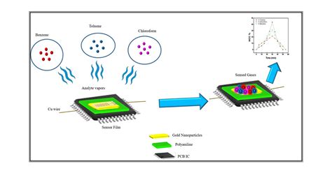 Conductivity Based Gas Sensors Using Tamarindus Indica Polysaccharide Capped Gold Nanoparticles