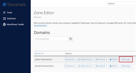 Domain Configuration And DNS Record Settings Knowledgebase Thecamels