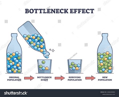 206 natural selection variation stock vectors and vector art shutterstock