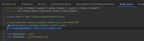 Warning Messages In Portainer Logs Caused By Docker Sock Not Available In Docker Swarm Setting