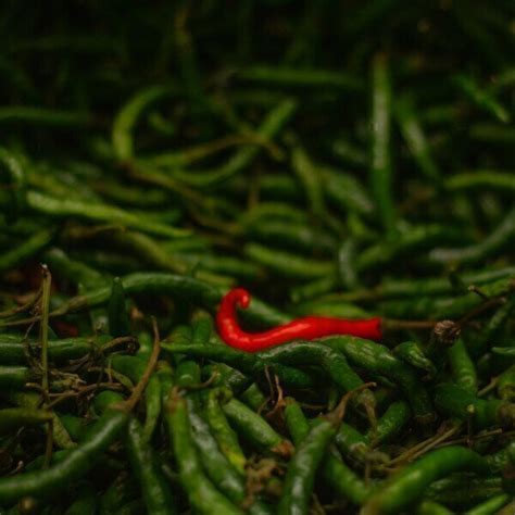 How Do You Improve Separation In Column Chromatography Chromatography Today