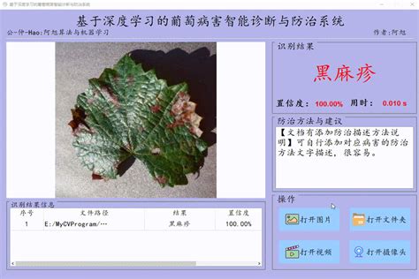 基于yolov8深度学习的葡萄病害智能诊断与防治系统【python源码pyqt5界面数据集训练代码】深度学习实战 阿里云开发者社区
