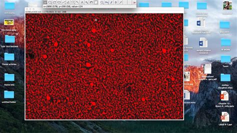 Sem Imagej Histogram Youtube
