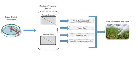 Comparison Of Nanofiltration With Reverse Osmosis In Reclaiming Tertiary Treated Municipal