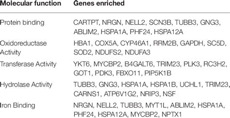 The Go Molecular Function Enriched In The Degs In All The Comparison