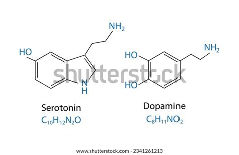 세로토닌과 도파민 화학적 구조의 골격계 화학 스톡 벡터 로열티 프리 2341261213 Shutterstock