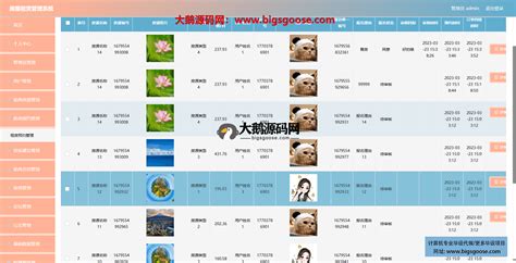 基于springboot的房屋租赁管理系统 计算机毕业设计 Java毕业设计大鹅源码网大鹅源码网