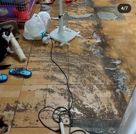 「前女f4」amy住家火災慘況曝光 求救遭嗆傷戴氧氣罩續命 Yahoo奇摩汽車機車