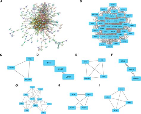 frontiers exploring the pathogenesis of colorectal carcinoma