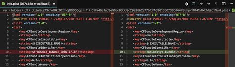 Flutter Doesnt Launch The App After Adding Onesignal