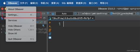 mac上使用dbeaver设置字体大小 dbeaver怎么填大小 csdn博客