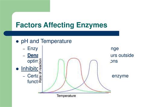 Enzymes & Chemical Reactions. - ppt download