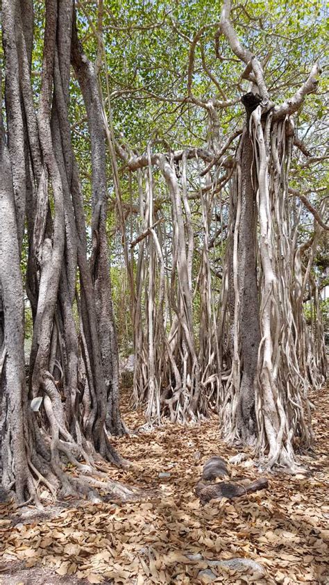 Off The Beaten Path Finding Serenity On Delft Island