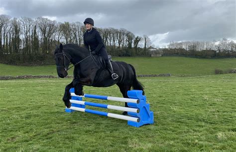 The Evolution Of Show Jumping Equipment Classic Showjumps