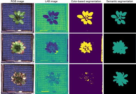 Performance Of Color Based Vs Semantic Segmentation The Leftmost