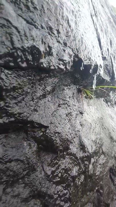 Super Star 🌟🌟🌟 Tamil Satheeskumar Youtube